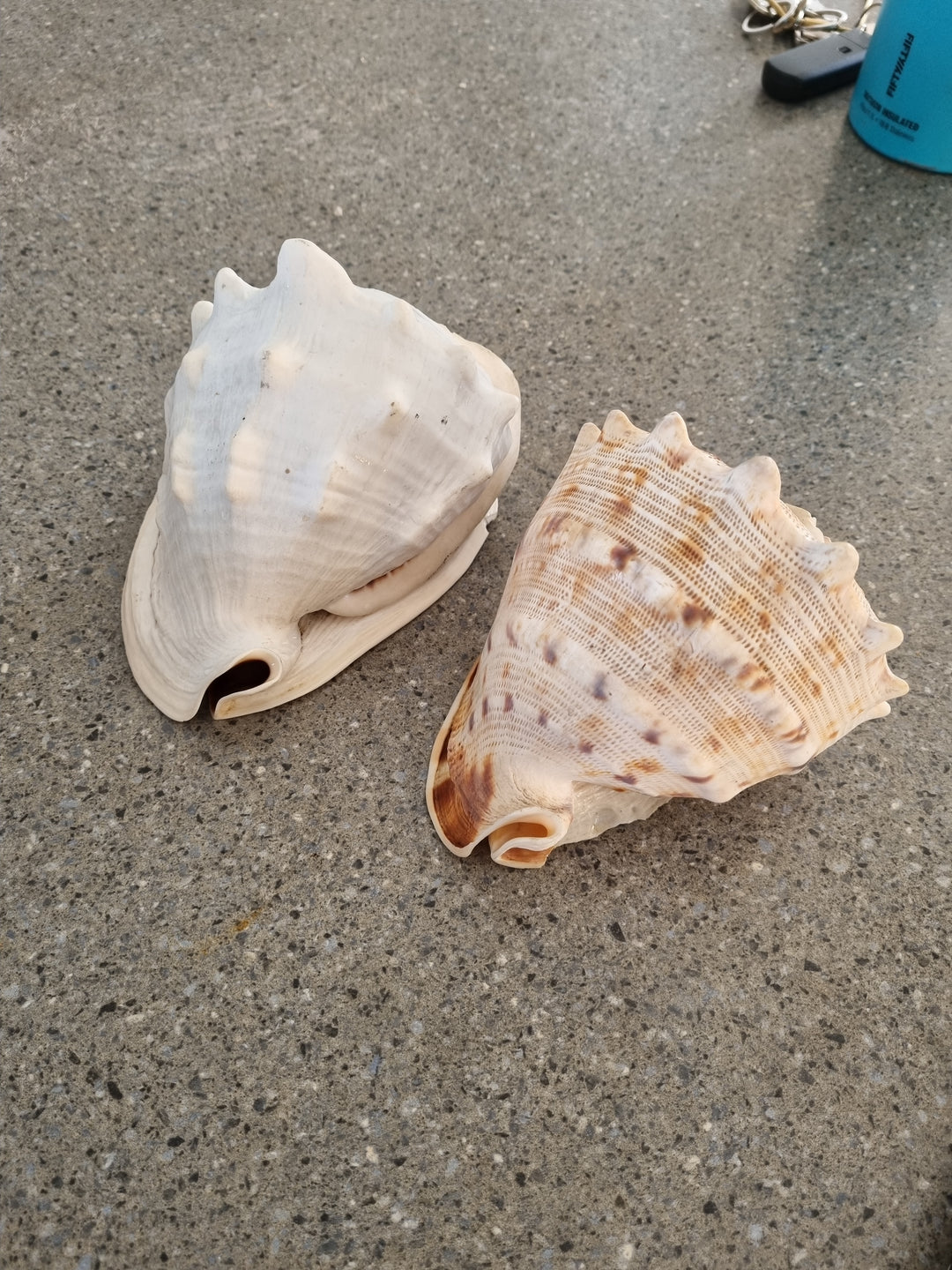 Our Matapono (values) Matter – Pūkenga Psychology